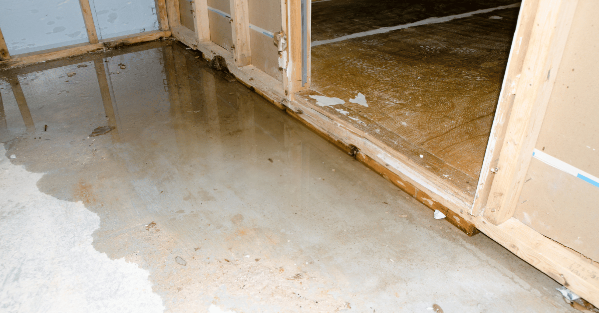 How To Tell If Your House Has Water Damage (A Quick Guide) - Robles ...